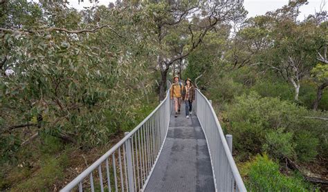 Adams Lookout Nsw National Parks