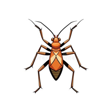 Cartoon Assassin Bug Illustration With White Background And Black