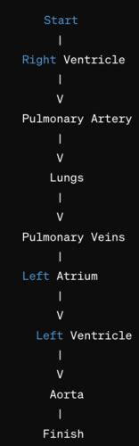 Essay 1 The Circulatory System Definition Constituting Elements