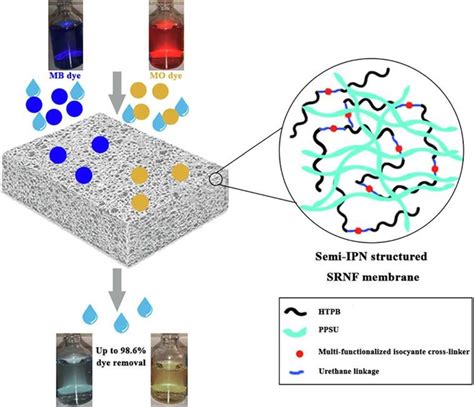 Schematic Representation Of The Structure Of Semi Ipn Based Solvent