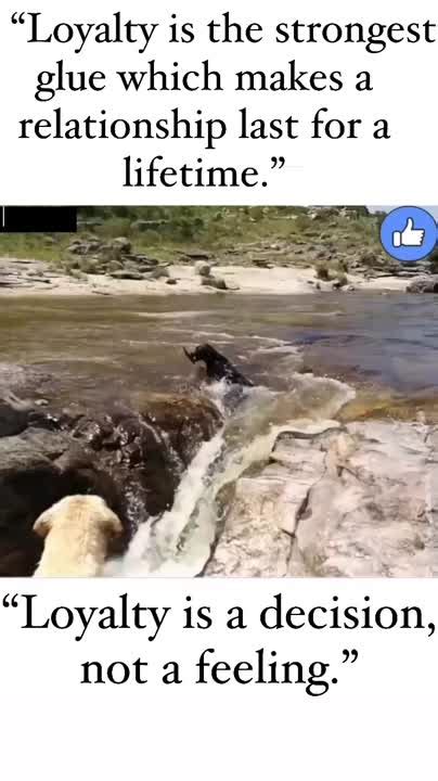 Sarmad Javed On Linkedin Friend Is Very Important Part Of Your Life Only If He Is Real