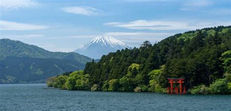 Tokyo Guided Private Tours With Expert Guides