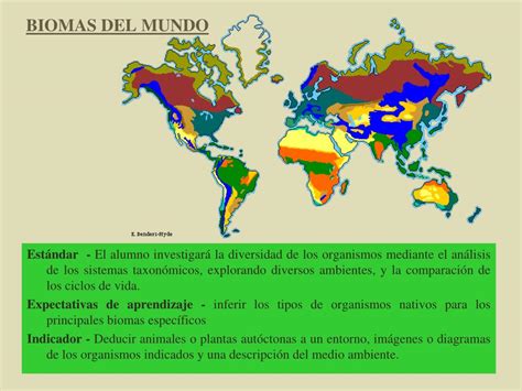 Los Principales Tipos De Biomas Del Mundo Diferenciador Biomas Themelower