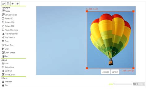 Winforms Image Editor Control Coming In Telerik R2 2018