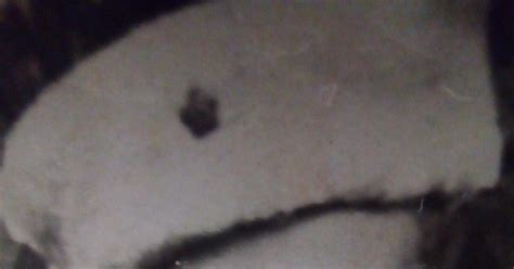 Мой дедушка Пикабу