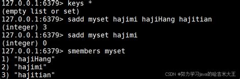 Redis数据结构 Set集合redis Set数据结构 Csdn博客