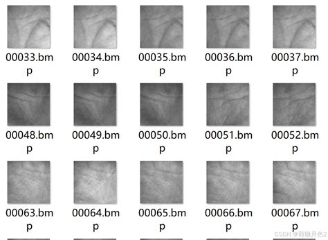 Pythonpytorch掌纹训练识别pytorch 提取指纹特征后进行模型训练 Csdn博客