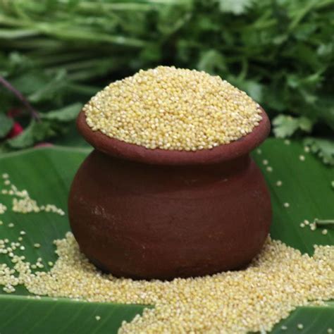 Samai 1kg Mayilaiuzhavan