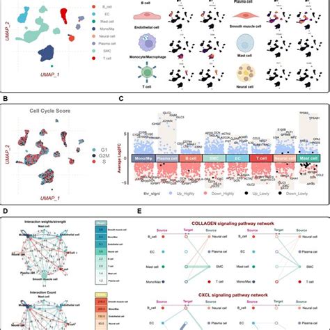 Single Cell Rna Seq Profiling Revealed Cell Landscapes Derived From Download Scientific Diagram