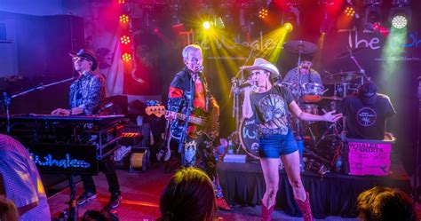 Rock Band Jonah And The Whales Twin Cities Band Book Live Music