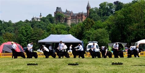 Home Ball Pytonsex Jantanukuran 16 M Facebook