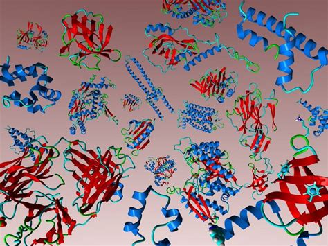 Protein Bioinformatics Workshop