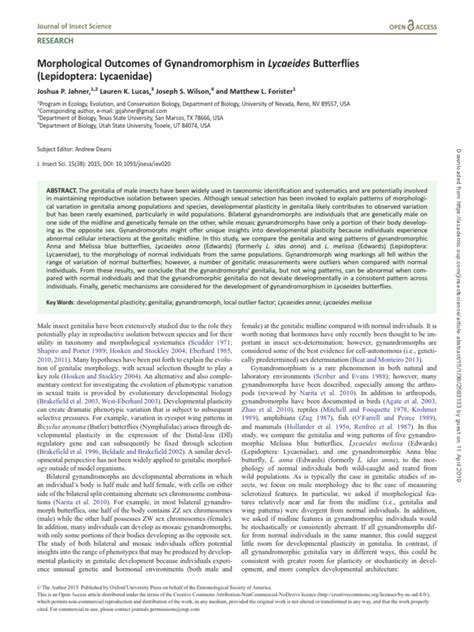 Morphological Outcomes Of Gynandromorphism In Lycaeides Butterflies
