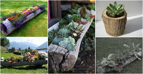 How To Make A Beautiful Log Garden Planter How To Instructions How To Make A Beautiful Log Garden Planter How To Instructions