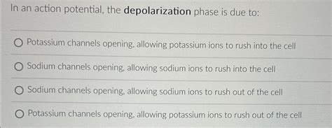 Solved In An Action Potential The Depolarization Phase Is