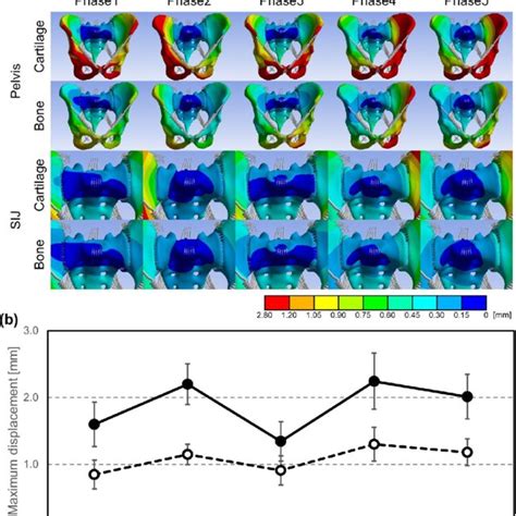 Resultant Displacement Vector Diagrams Of Pelvis On A Representative