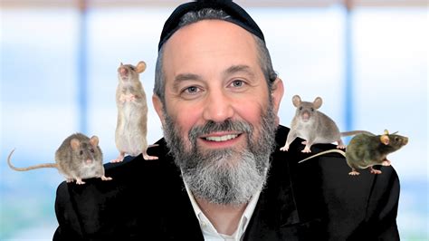 How A Rat Experiment Uncovered A Deep Jewish Truth Show Living Lchaim