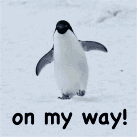 On My Way S