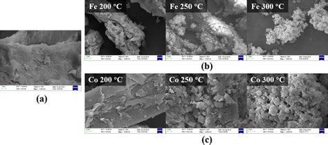 The Sem Of Initial Cellulose A And Pyrolyzed Cellulose In Bmim Fecl4