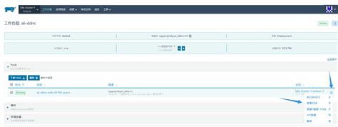 阿里云ddns docker版 ngx project ngx hk