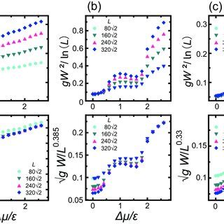 Surface Growth Velocity And Scaled Surface Widths At The Surface Download Scientific