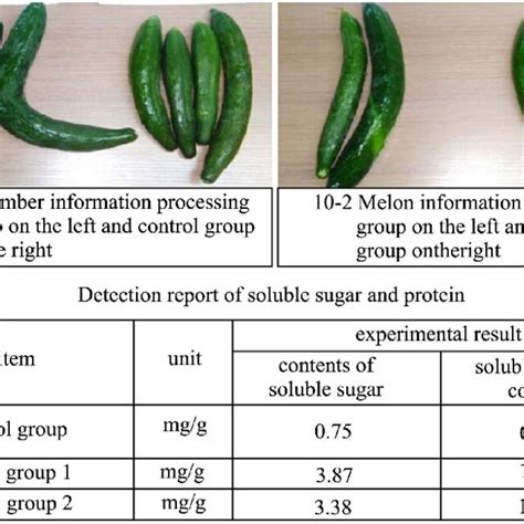 The Experimental Results Of Directional Transfer Of Genetic Traits Of