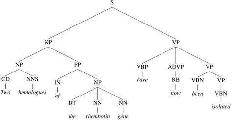 A Constituent Phrase Structure Tree The Phrase Structure Of The