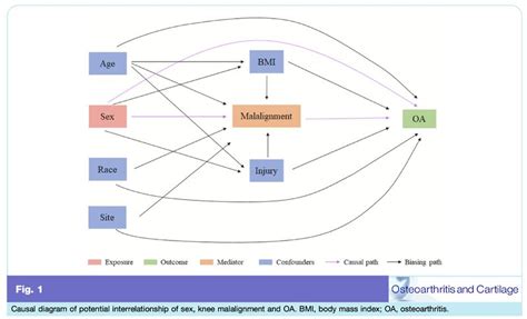 Osteoarthritis And Cartilage Journal On Linkedin Malalignment Oa