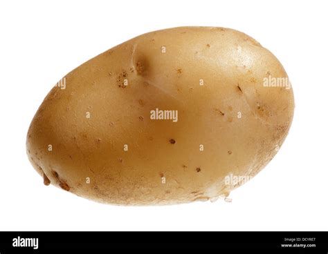 Yellow Potato Cut Out Stock Images And Pictures Alamy