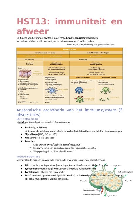 Hst13 Fysio Samenvatting Van Het Hoofdstuk Over Immuniteit En Afweer Uit Cursus L Simons