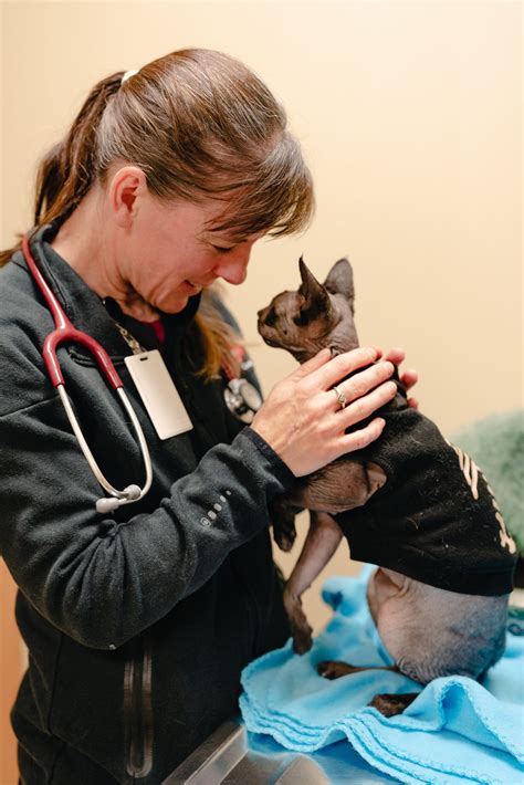 Community Activities Animal Emergency Care Aec Bellingham Wa