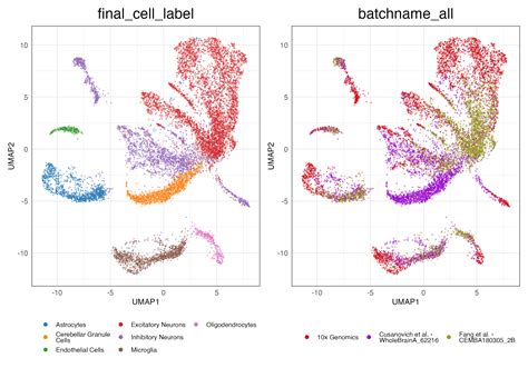 Atac Dataset Mousebrainatacpeakssmall