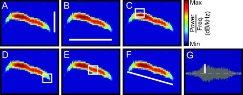 Features Of Vocal Signals To Compare Male And Female Vocal Signals