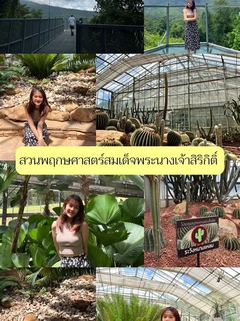 แปะที่เที่ยวเชียงใหม่ 🦩 ฉบับนักศึกษามช 🌲💟 แกลเลอรีที่โพสต์โดย 𝐴𝑚 Lemon8