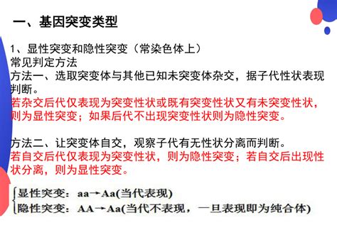 基因突变的类型、结果、特点、对表达的影响 共21张ppt 2024年高考生物复习知识解读及实例分析（全国通用） 21世纪教育网 二一教育