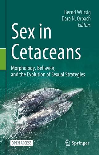 Sex In Cetaceans Morphology Behavior And The Evolution Of Sexual