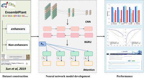 Ricenn：基于 Dna 序列的神经网络预测水稻增强子 Interdisciplinary Sciences Computational Life Sciences X Mol