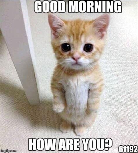 30 Funny Good Morning Memes To Get Your Day Off To A Good Start