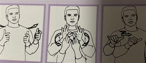 Asl Final Flashcards Quizlet