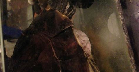 Turtle Crack Album On Imgur