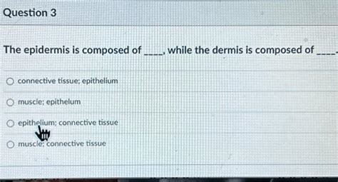 Solved Question 3 The Epidermis Is Composed Of