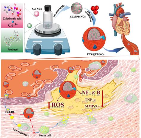 The Preparation And Application Of The Nanozyme Platelet Download
