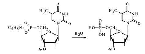 Reactions Of Nucleotides Involving The Phosphate Group
