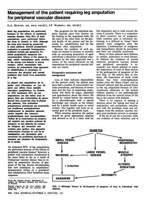 Management Of The Patient Requiring Leg Amputation For Peripheral Vascular Disease Pmc