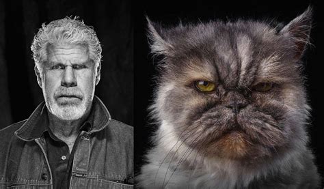 Ron Pearlmans Cat Men With Cats Cute Cats Crazy Cats