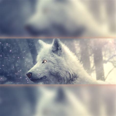 Abdullah Çelik Youtube