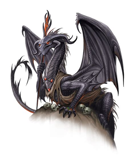 Black Dragon Pathfinder
