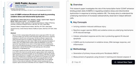 Ai Research Paper Summarizer Free Ai Paper Summaries