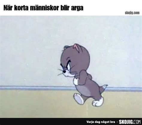 När Korta Människor Blir Arga Skämt Och De Bästa Roliga Bilderna