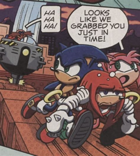 Sonic And Amy Carrying Knuckles Sonic And Knuckles Hospital Bed